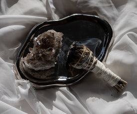 Everything you Need to Know about Abalone Shells and Smudging – Astral ...